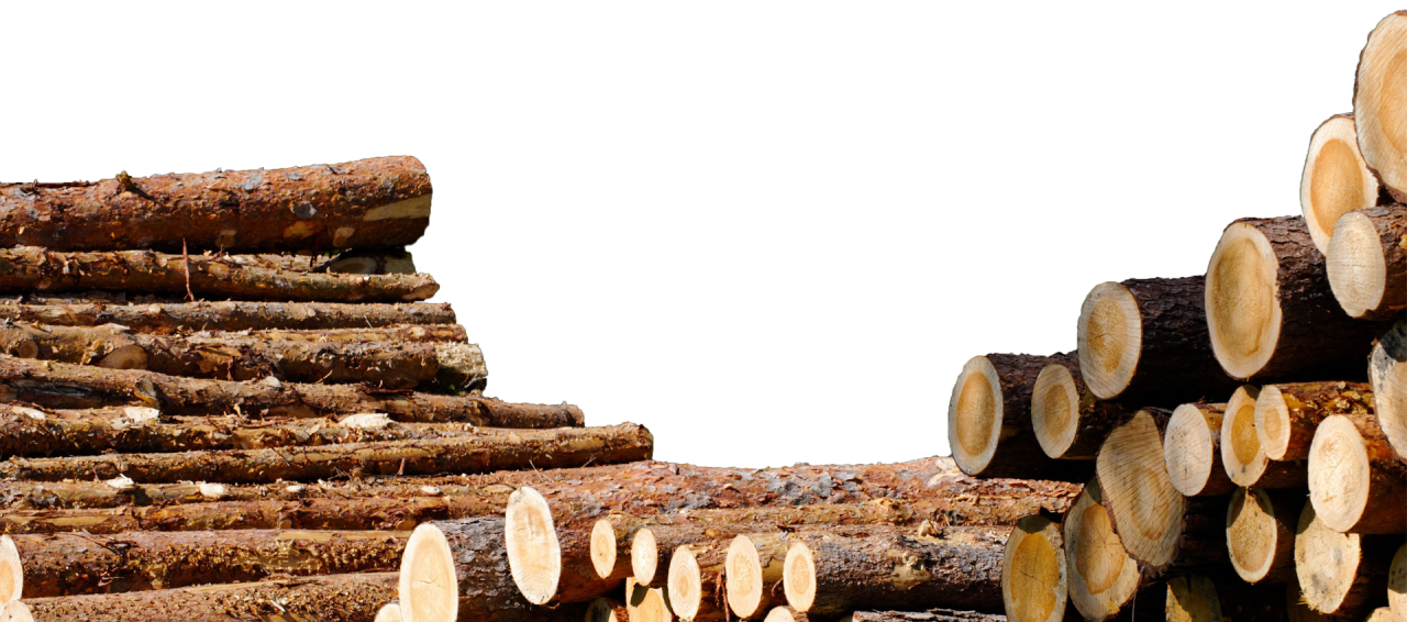 Forest Products Distributors, Inc. | A full service lumber ...